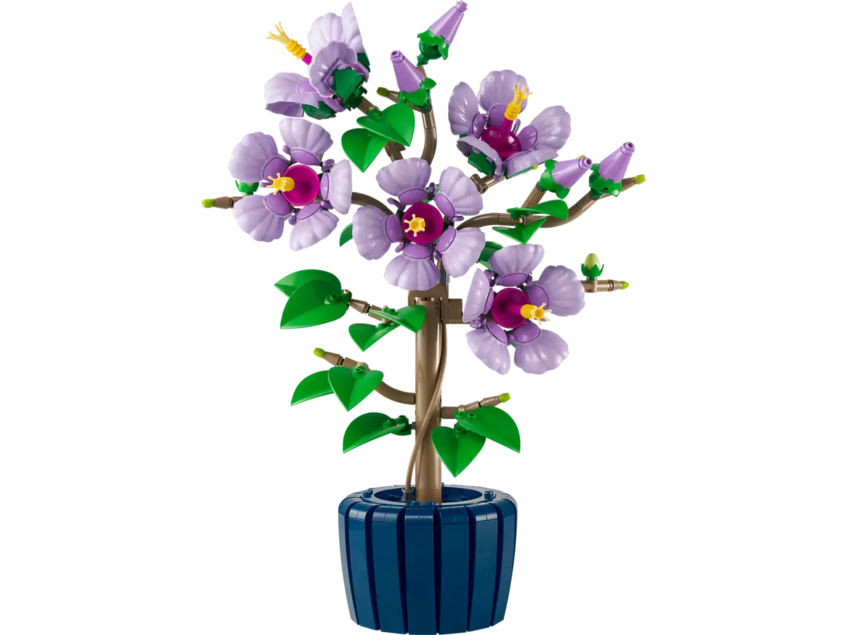 Lego : The Botanical Collection - Hibiscus – Colossal Toys Inc.